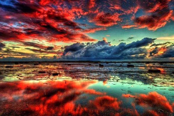 Sfondi Animali (59+ immagini)